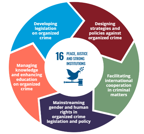 Global Programme Implementing UNTOC from Theory to Practice